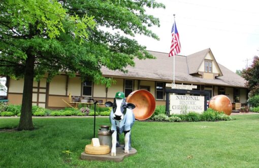 Cheese Tours | Alp and Dell Cheese Store